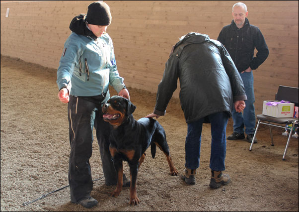 Beet – Team Extreme